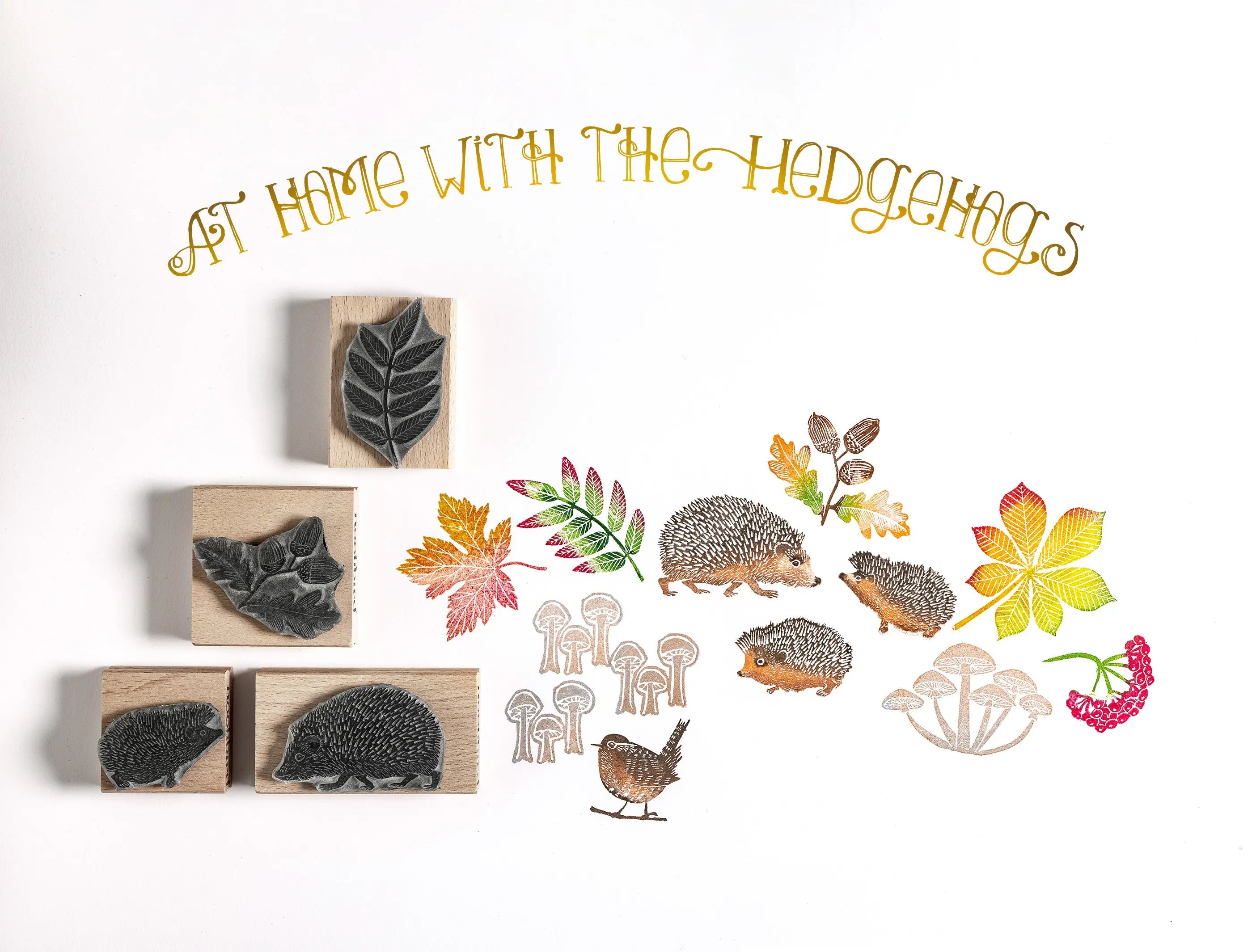 New Hedgehog Rubber Stamp Collection! | Noolibird