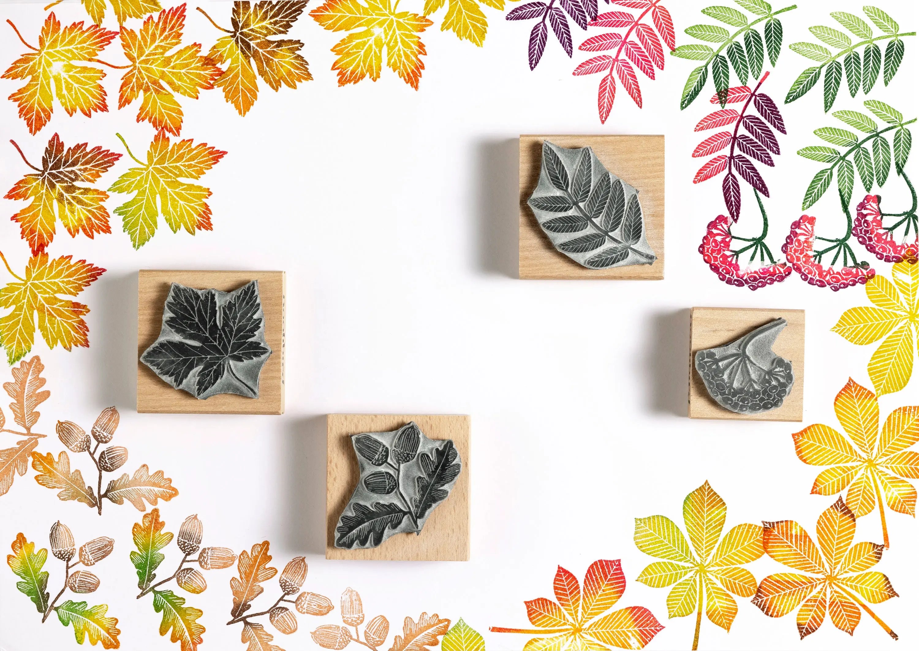 Autumn Leaf Rubber Stamps, Stamps for card making | Noolibird